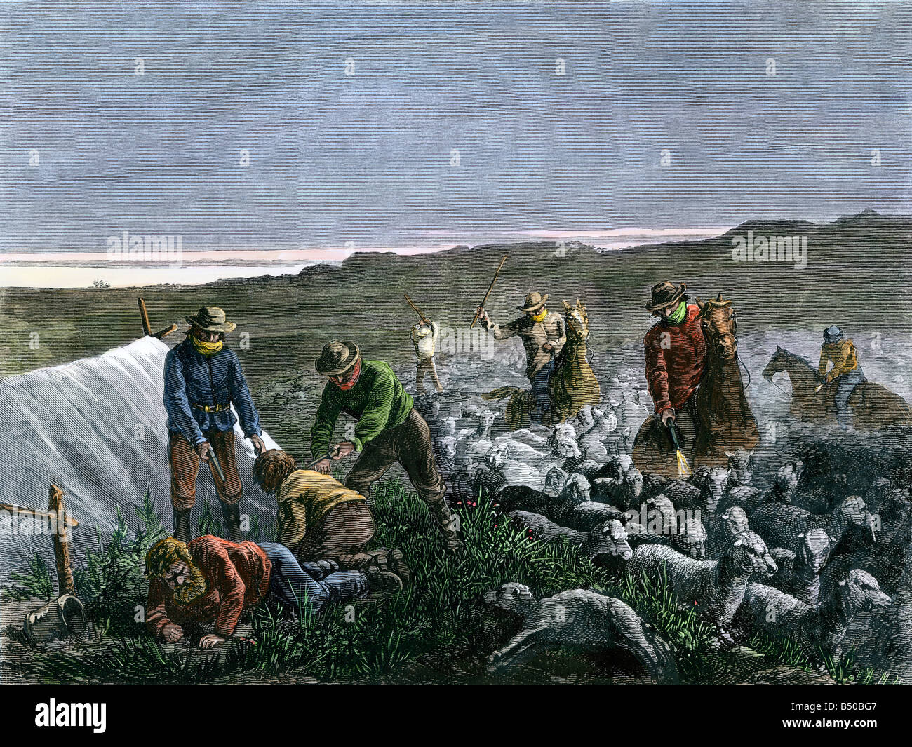 Sheep vintage hi-res stock photography and images - Alamy