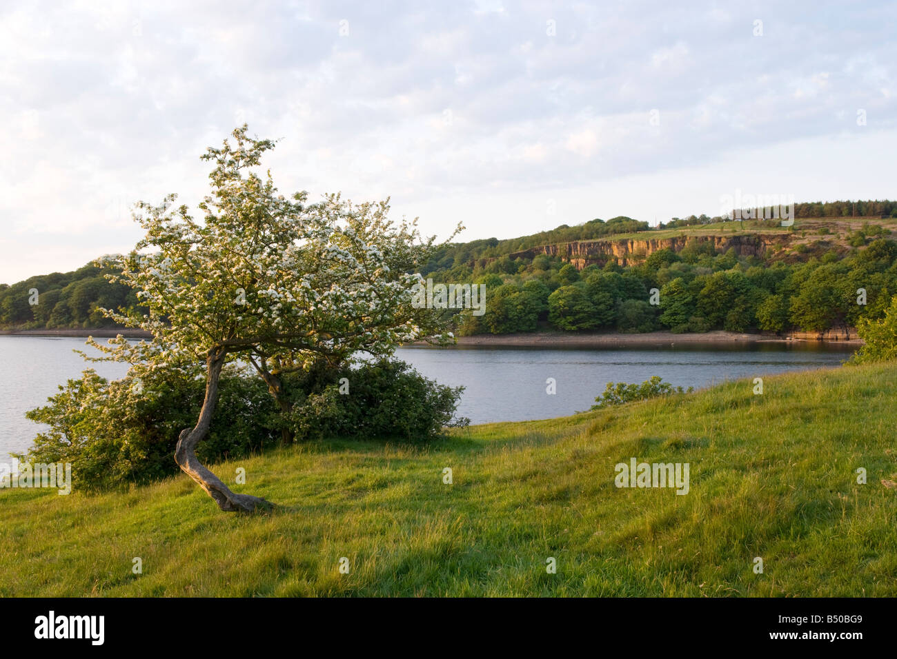 Anglezarke quarry and reservoir. Lancashire Stock Photo - Alamy