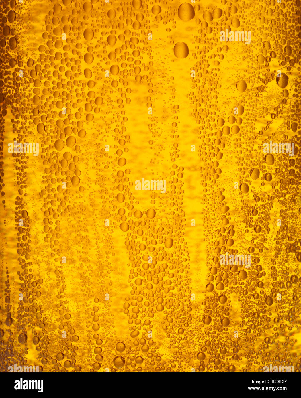 BUBBLES IN BEER GLASS Stock Photo - Alamy