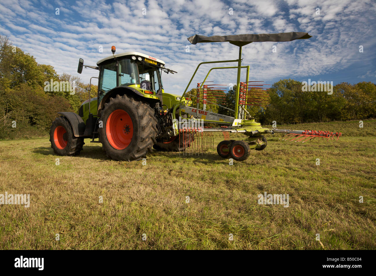 Claas Ares 697 ATZ rowing up a silage crop UK Stock Photo - Alamy
