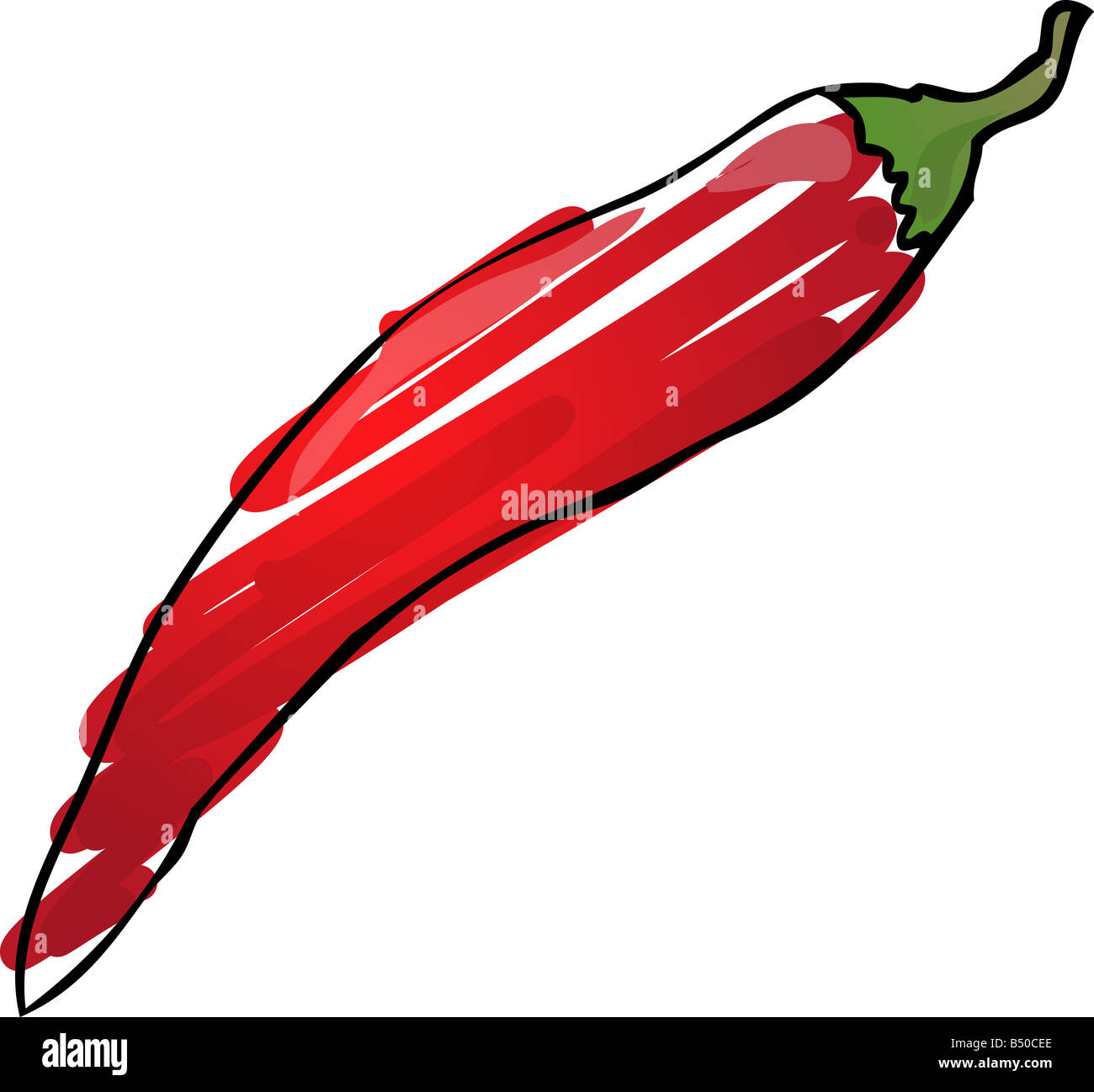Sketch of a chilli Hand drawn lineart look illustration Stock Photo - Alamy