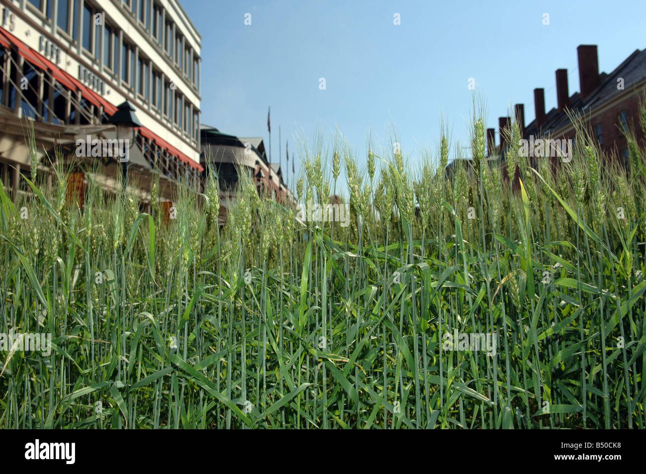 Sustainable displays hi-res stock photography and images - Alamy