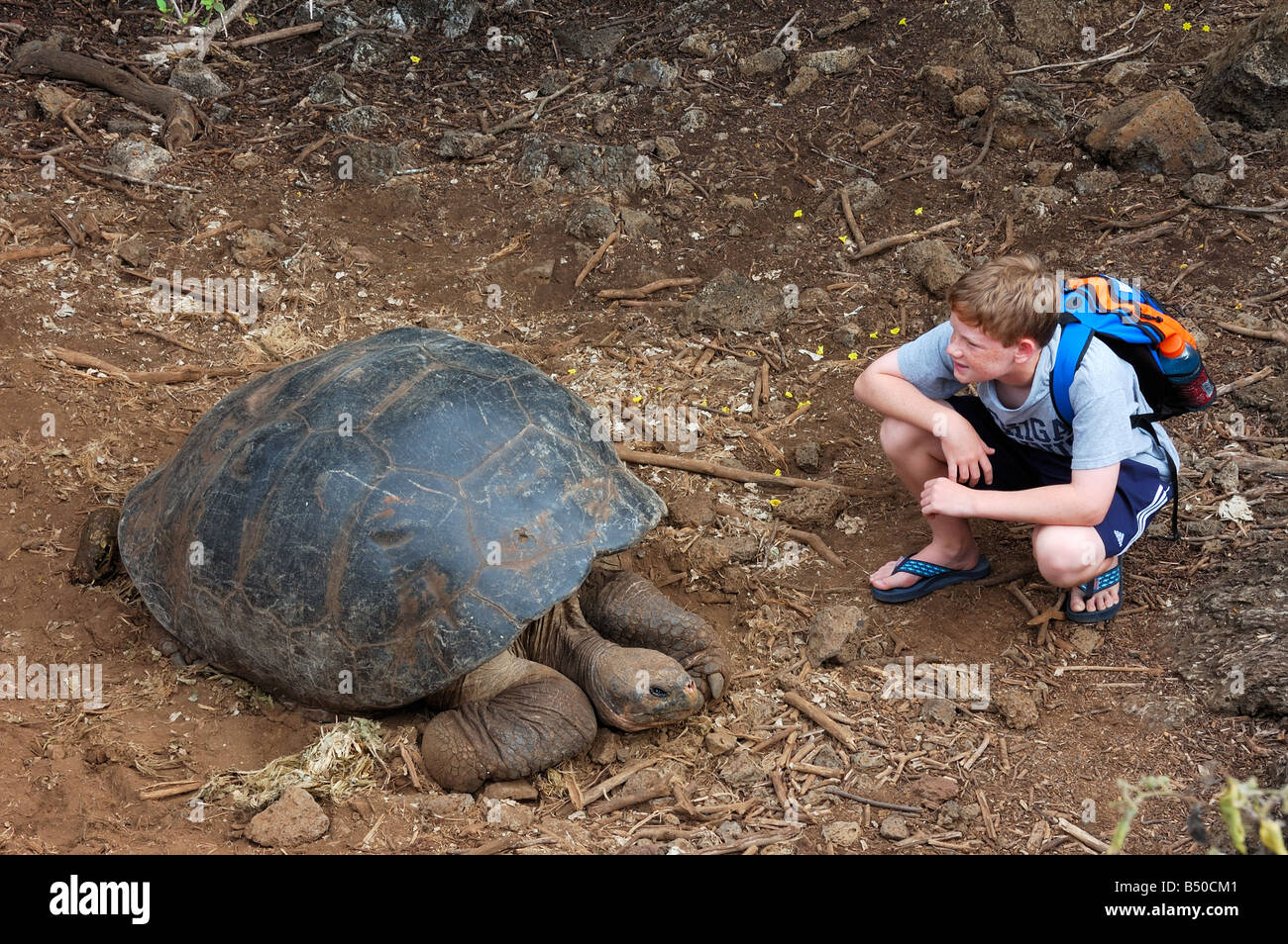Galapagos tortoises person hi-res stock photography and images - Alamy
