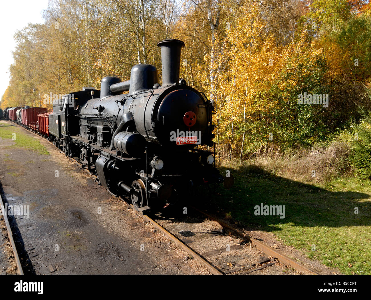 Steam Locomotive tank engine railway Stock Photo - Alamy