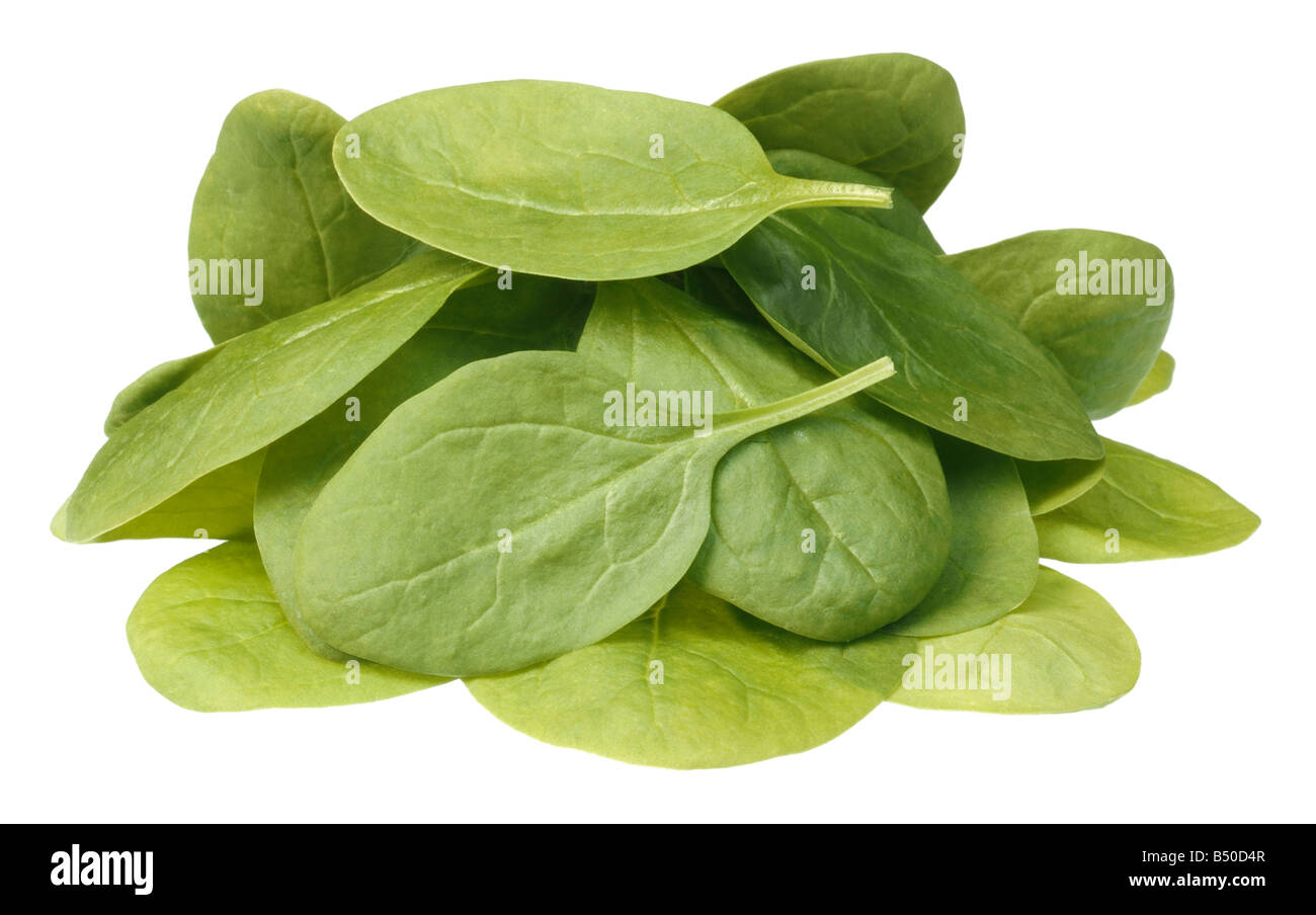 FRESH BABY SPINACH LEAVES CUT OUT Stock Photo - Alamy