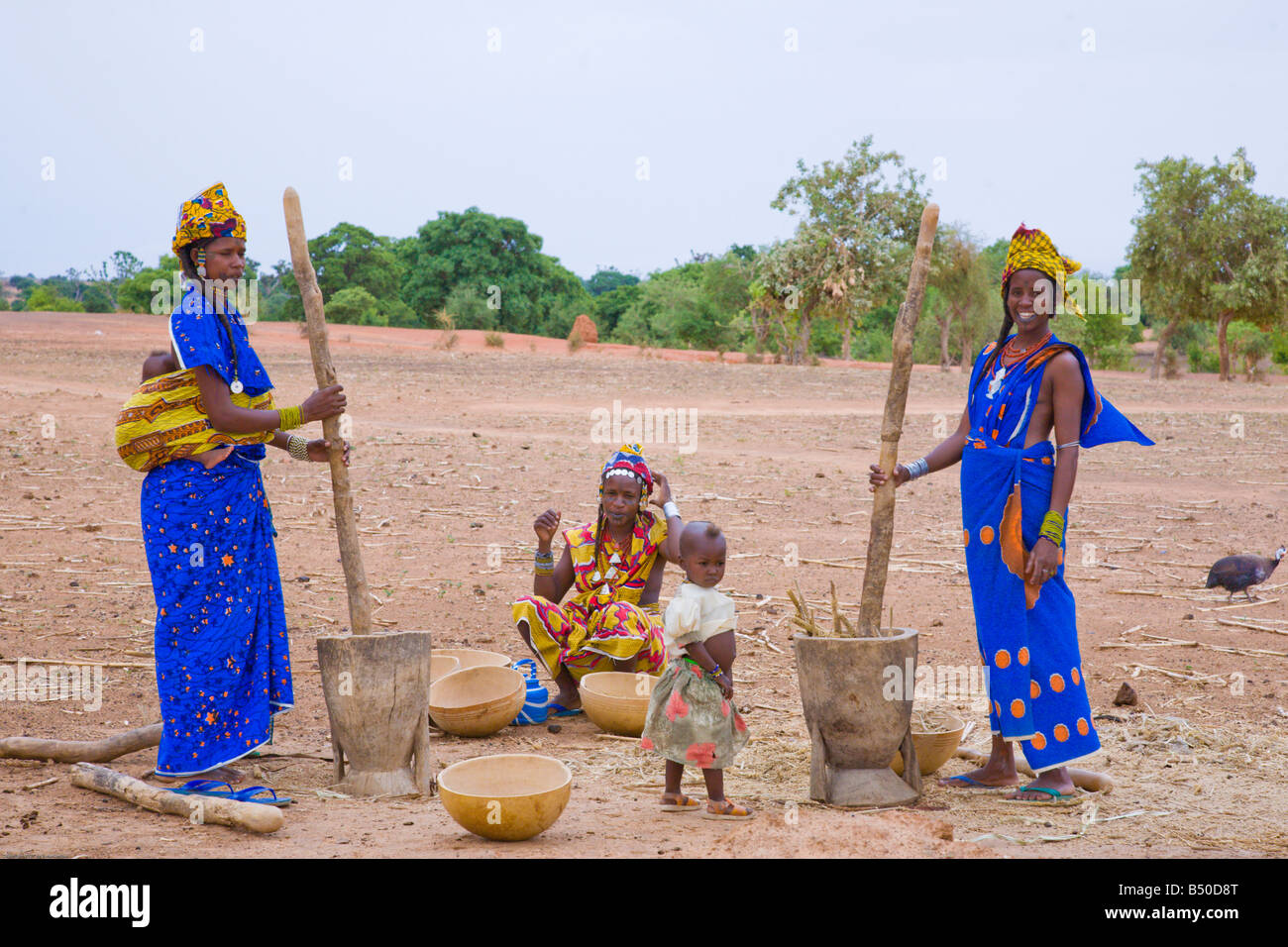 Fulani women at a village in southwestern Niger pound millet during the ...