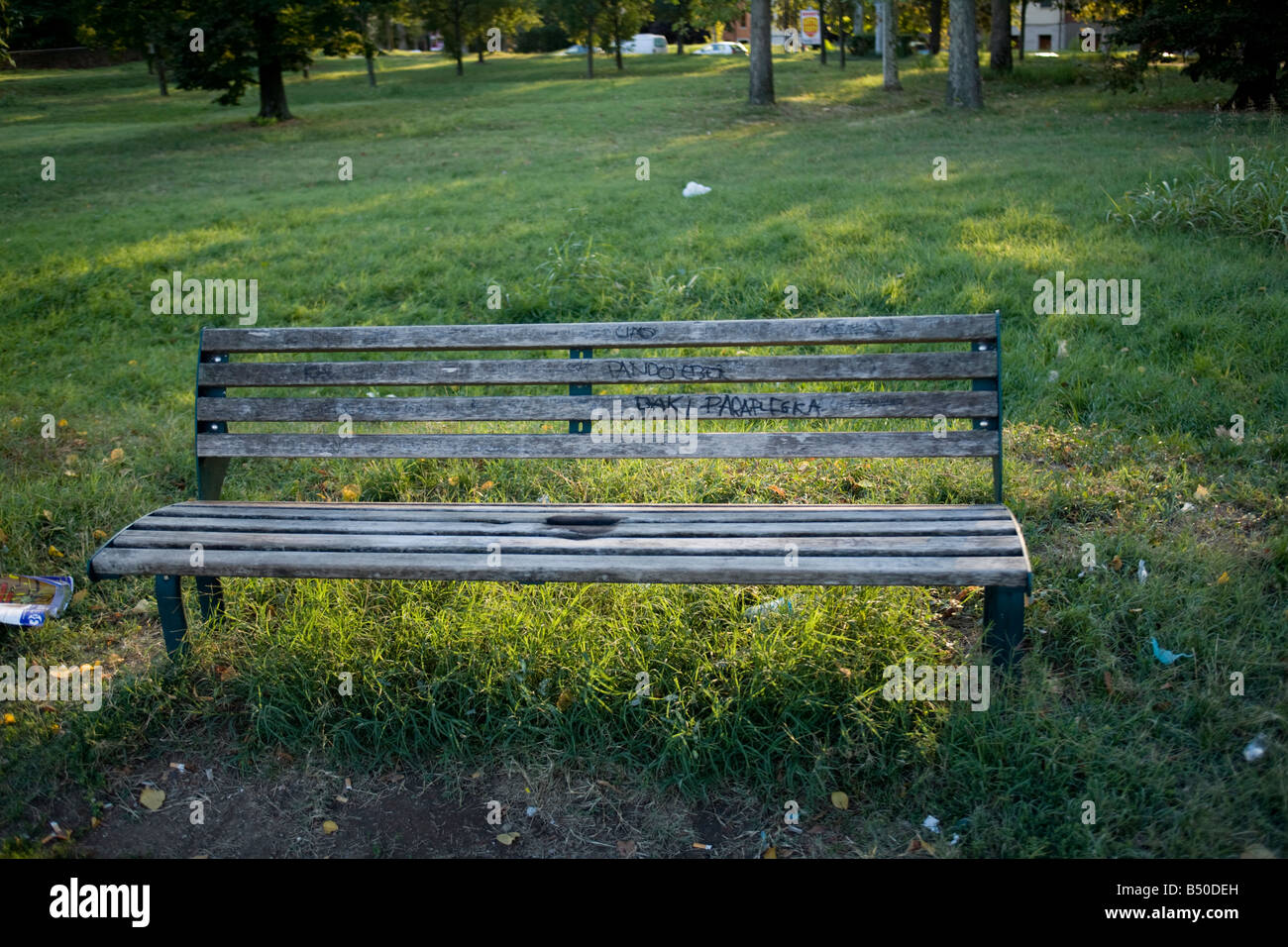 Bech grass hi-res stock photography and images - Alamy