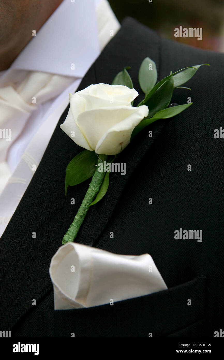 Grooms boutonnieres hi-res stock photography and images - Alamy