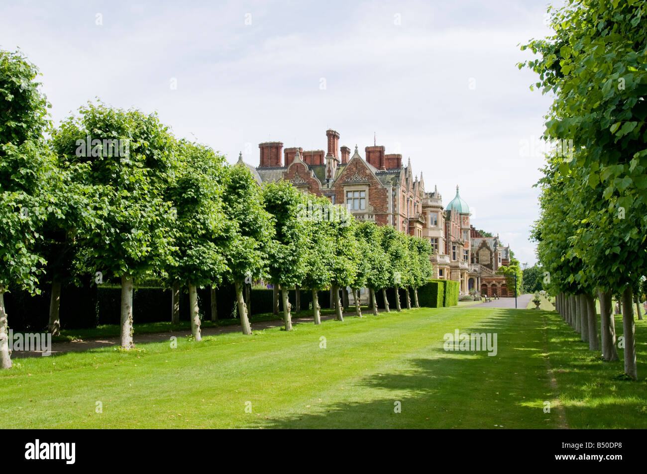 The bleached lime avenue on the north elevation of Sandringham House ...