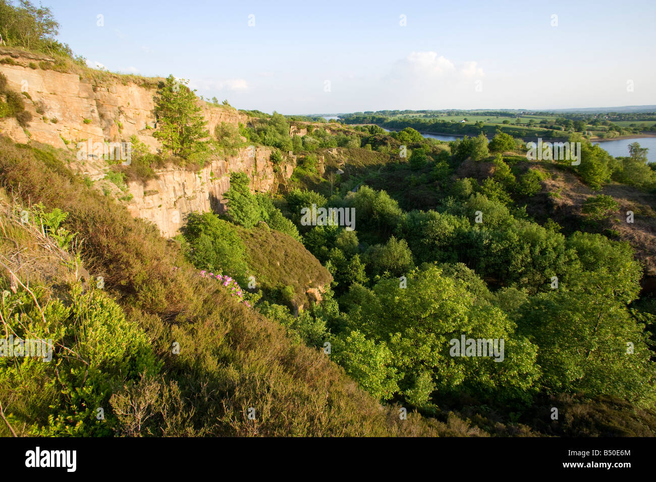 the rockface at Anglezarke Quarry Stock Photo - Alamy