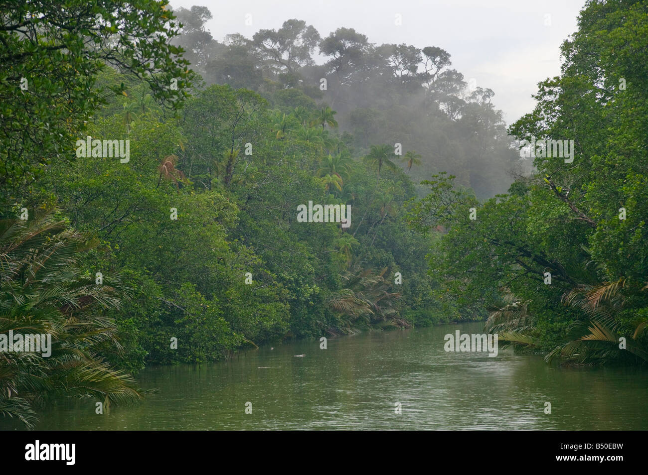 River and rainforest in Similajau National Park nr Bintulu Sarawak ...