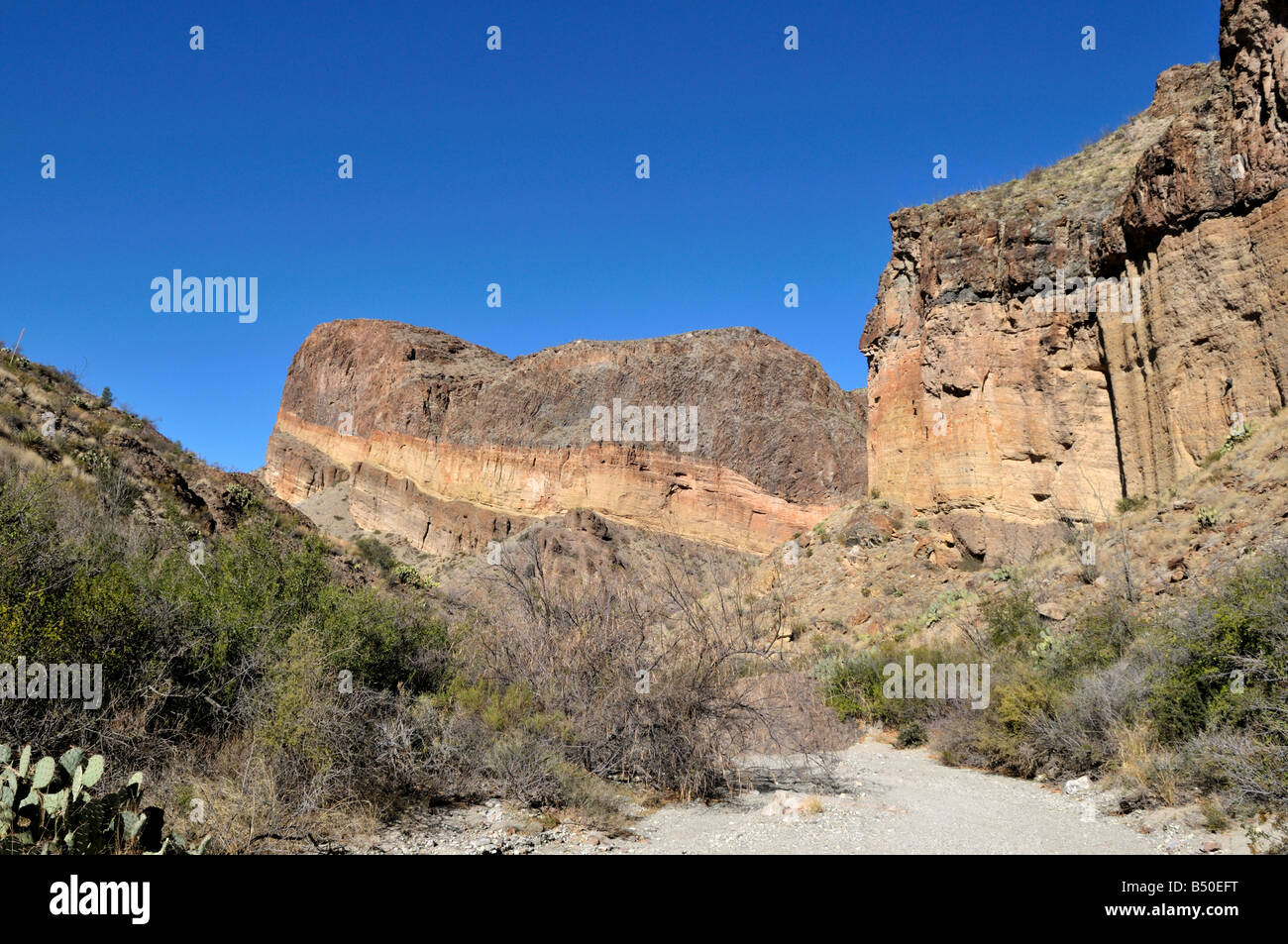 Desert landscape. Big Bend National Park, Texas, USA Stock Photo - Alamy