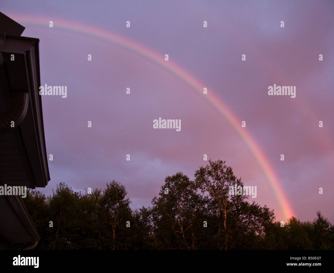 Sunset with a dark magenta sky and deep full rainbow over trees in New ...