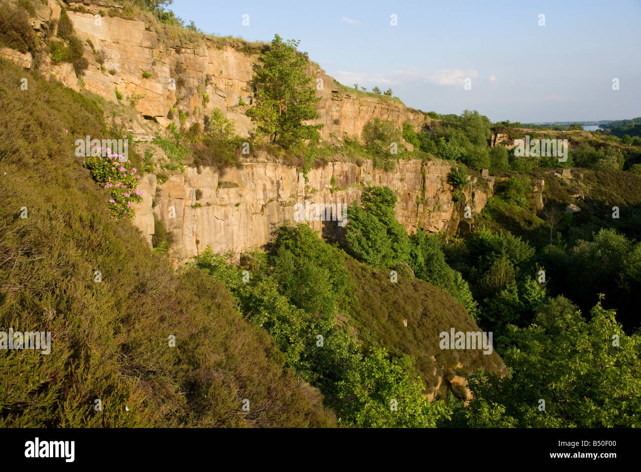 rockface at Anglezarke Quarry Stock Photo - Alamy