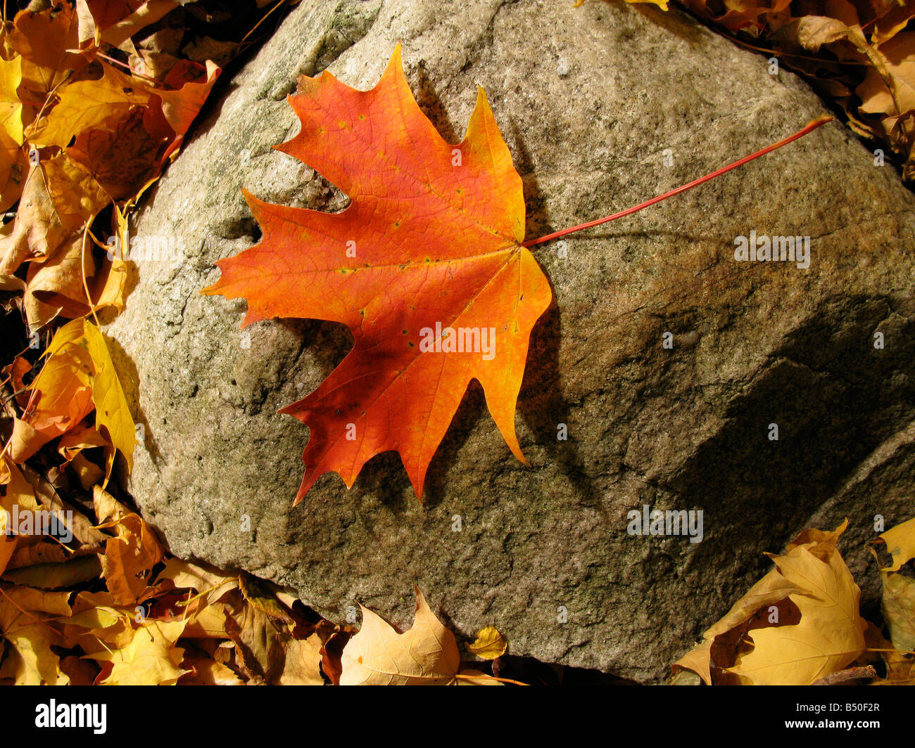 Fell fallen hi-res stock photography and images - Alamy