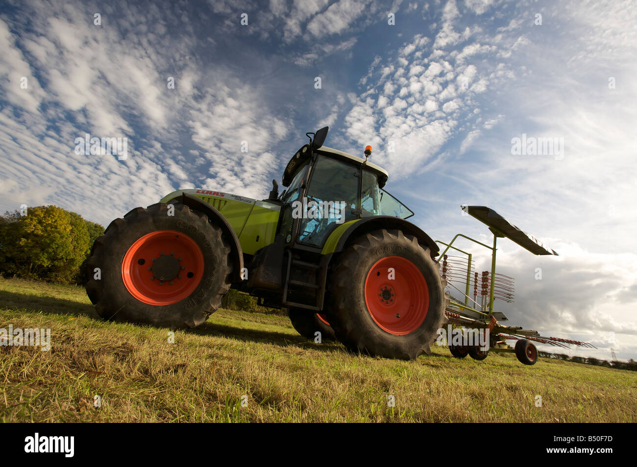 Claas Ares 697 ATZ rowing up a silage crop UK Stock Photo - Alamy
