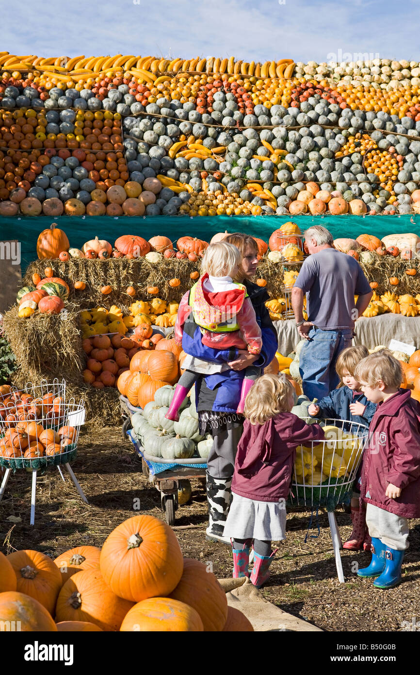 Annual display hi-res stock photography and images - Alamy