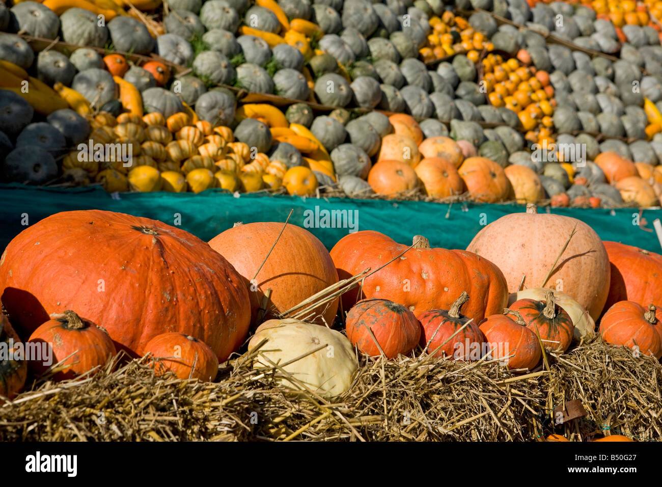 Annual display hi-res stock photography and images - Alamy