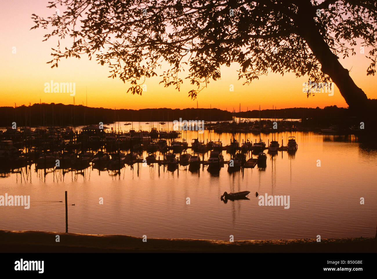 Sassafras river hi-res stock photography and images - Alamy