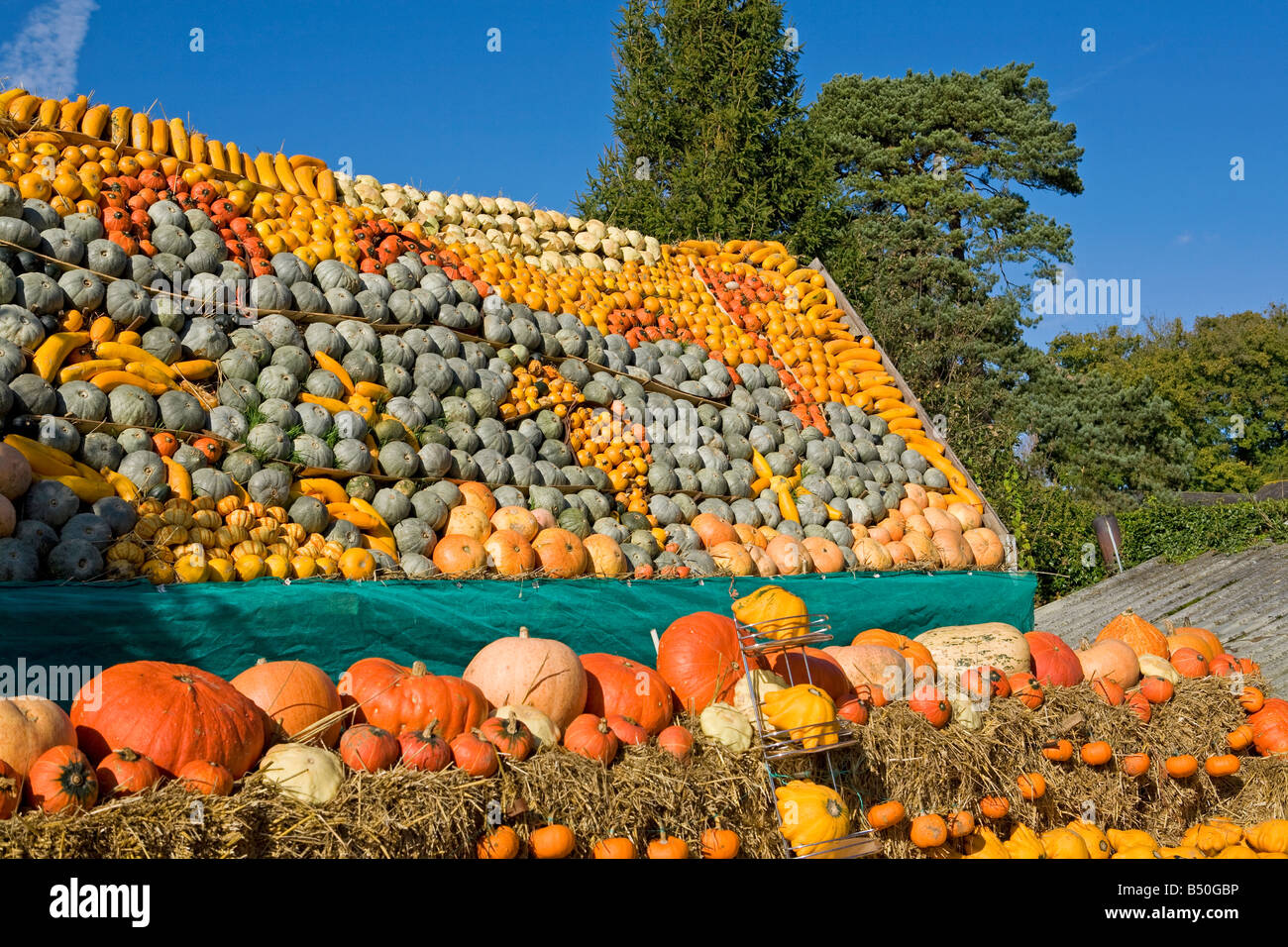 Sussex Display High Resolution Stock Photography and Images - Alamy