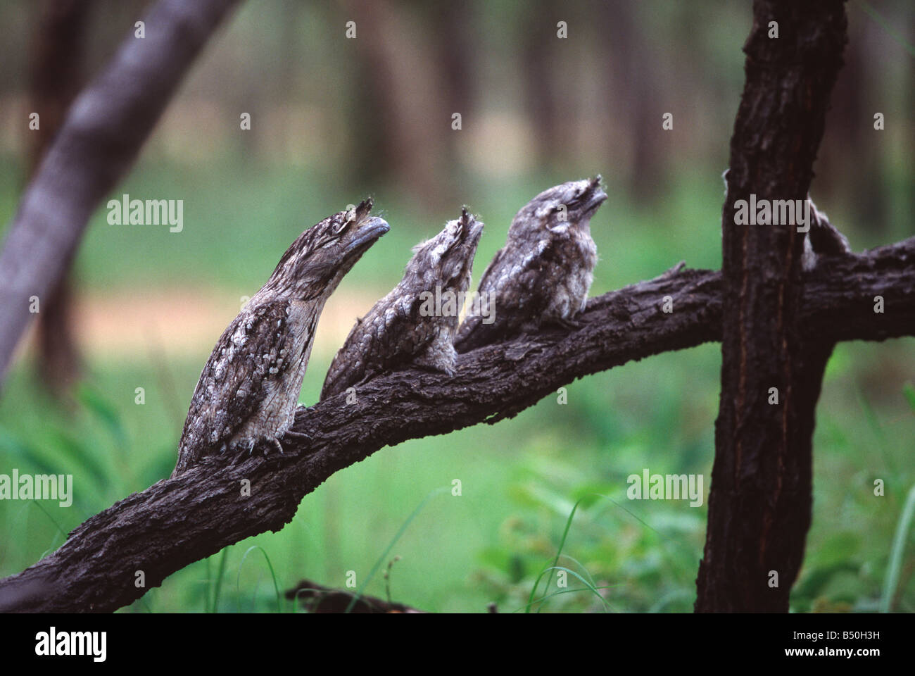 Inconspicous hi-res stock photography and images - Alamy