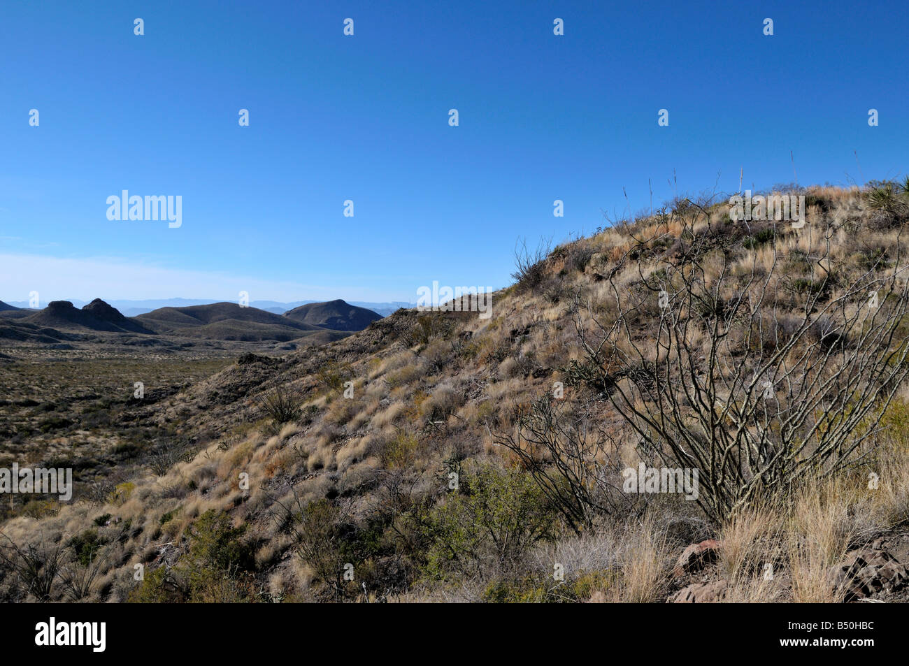Desert landscape. Big Bend National Park, Texas, USA Stock Photo - Alamy