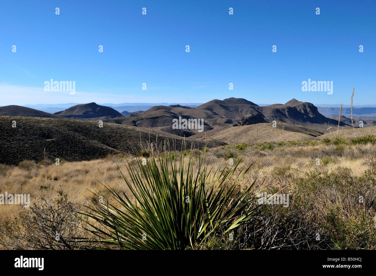 Desert landscape. Big Bend National Park, Texas, USA Stock Photo - Alamy