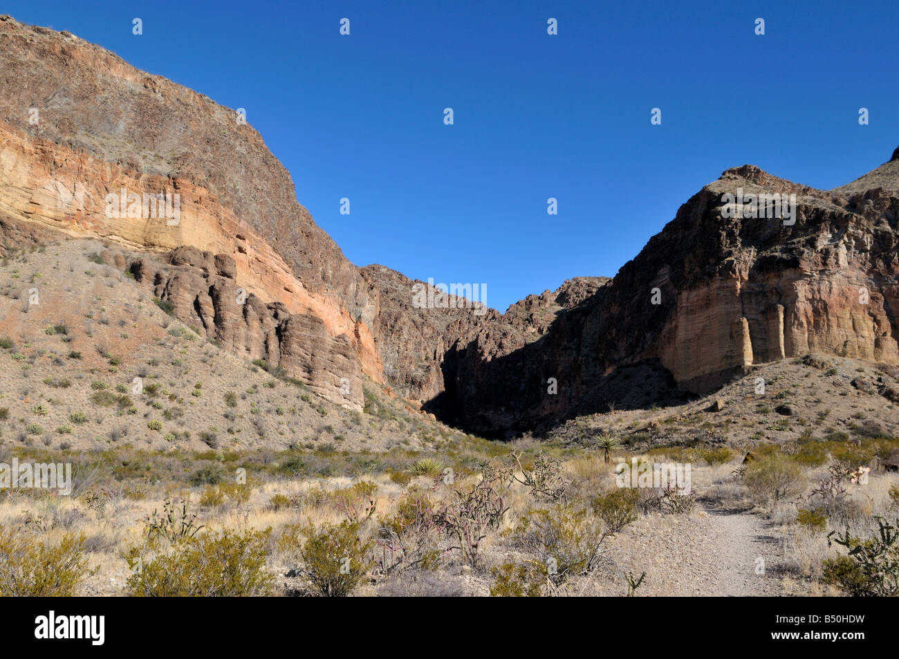 Desert landscape. Big Bend National Park, Texas, USA Stock Photo - Alamy
