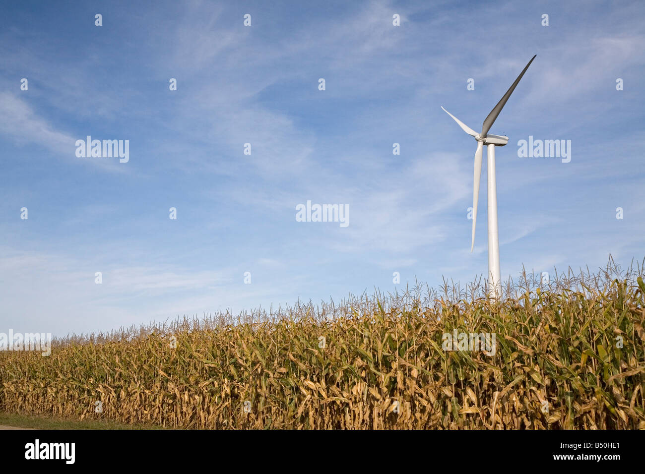 Turbine farm corn renewable energy hi-res stock photography and images ...