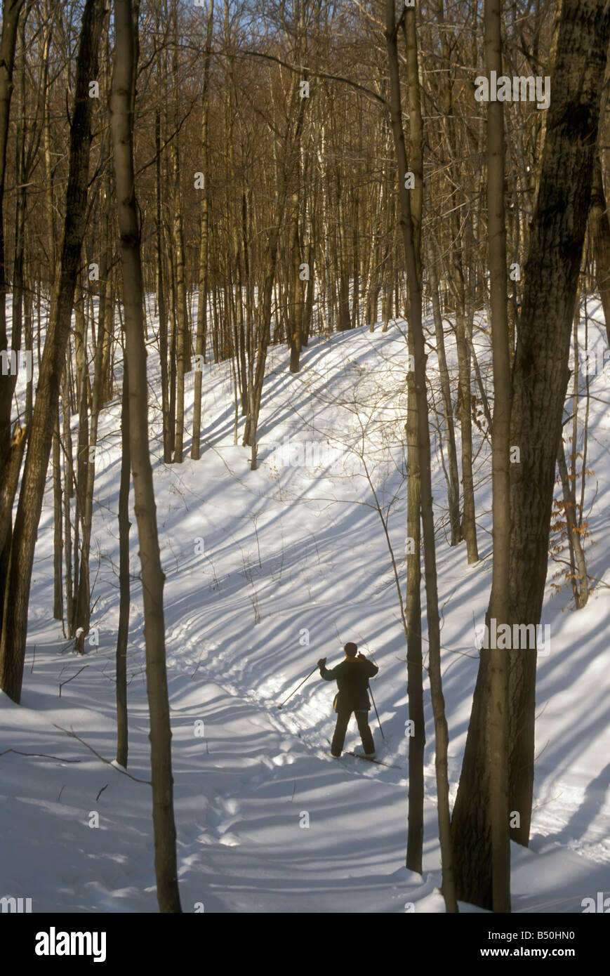 Vanderbilt Michigan A cross country skier on the Shingle Mill Pathway ...
