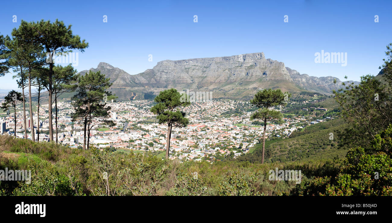 Table mountain plants hi-res stock photography and images - Alamy