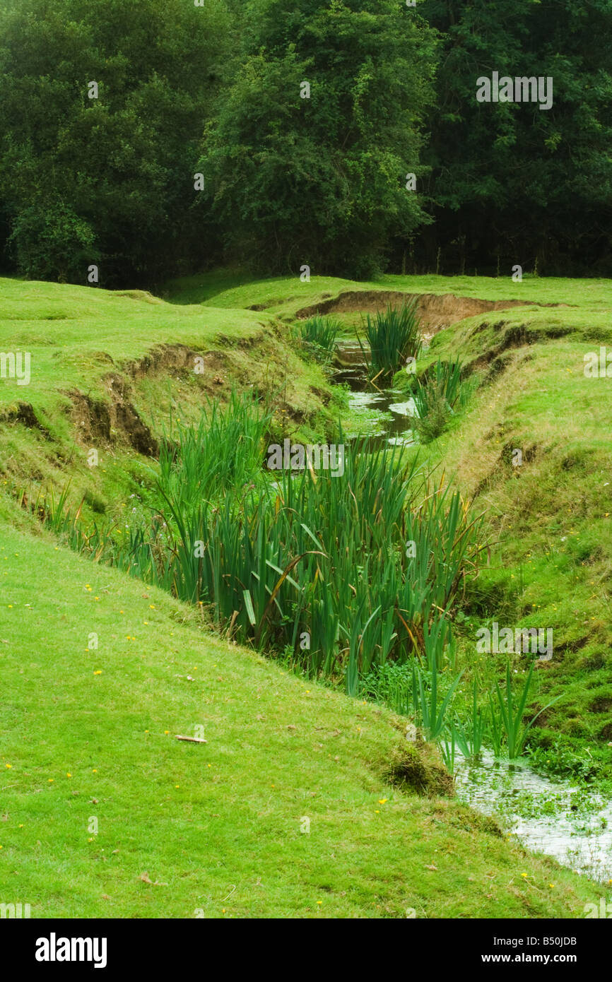 Gully erosion field hi-res stock photography and images - Alamy