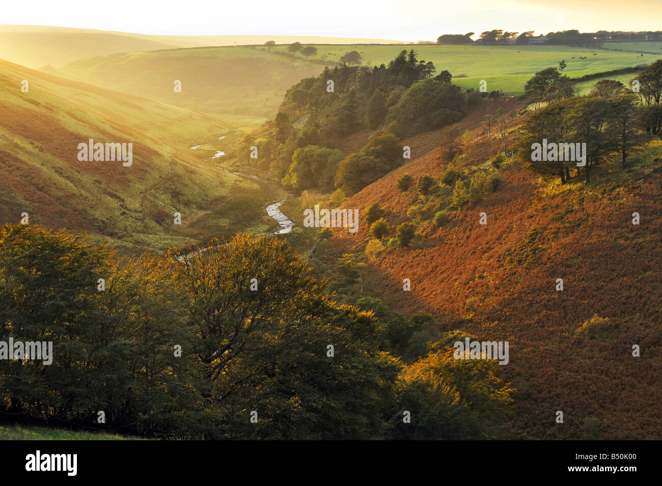 Autumn sunset over The Cornham Brake Valley at Simonsbath, Exmoor Stock ...