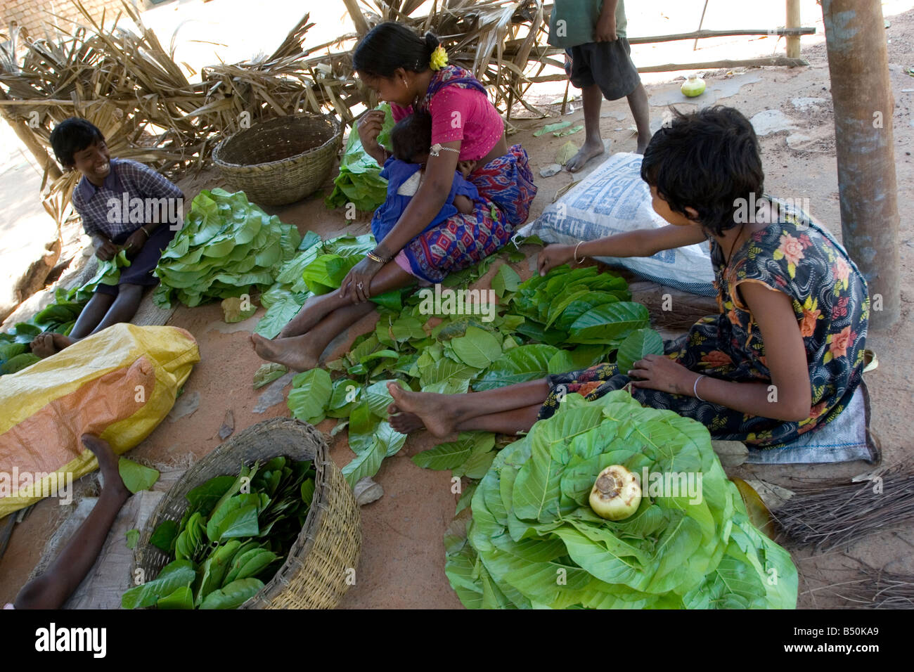 Village people are preparing "Thalis" by using "SHAAL" leaves ...