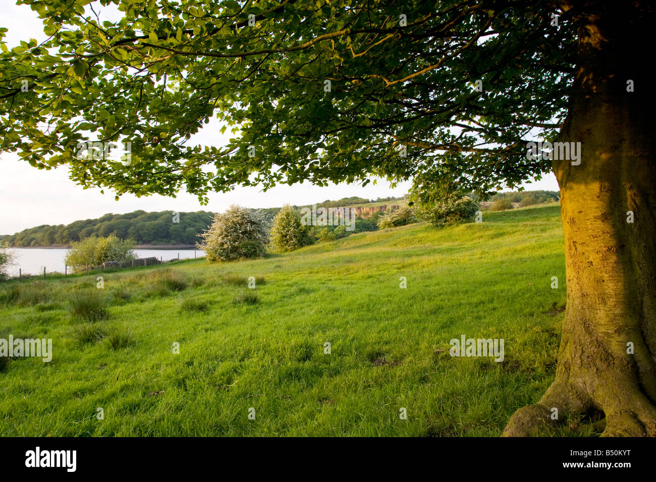 Lancashire field and countryside Stock Photo - Alamy