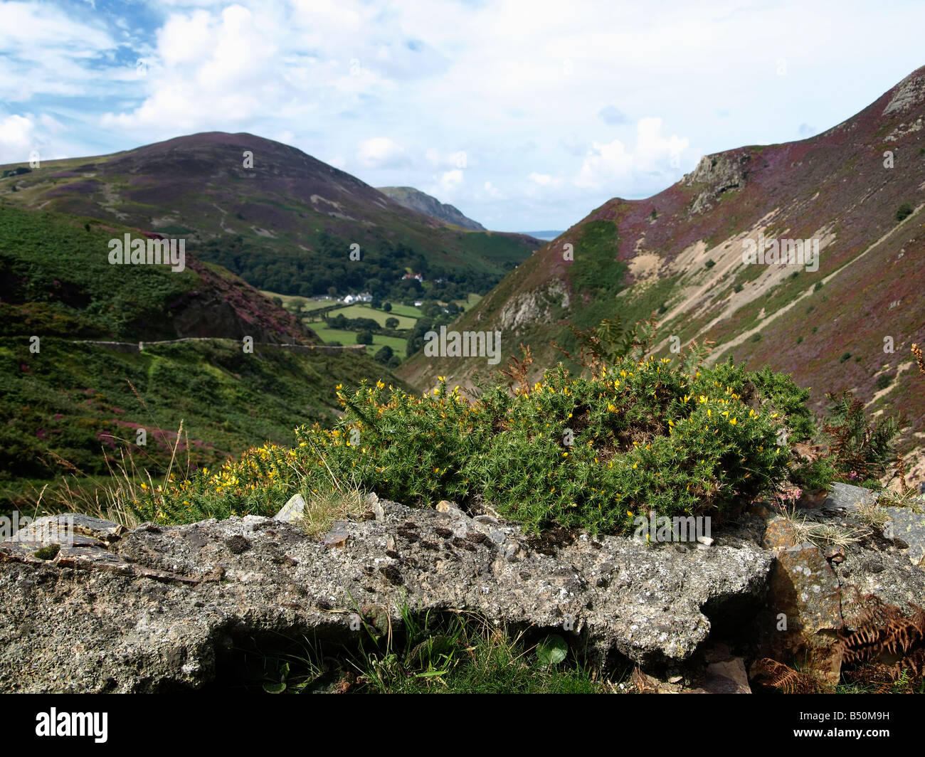 Sychnant Pass, Conwy, North Wales Stock Photo - Alamy