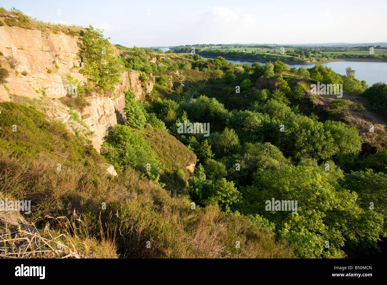 Anglezarke Quarry with woodland and scrub Stock Photo - Alamy