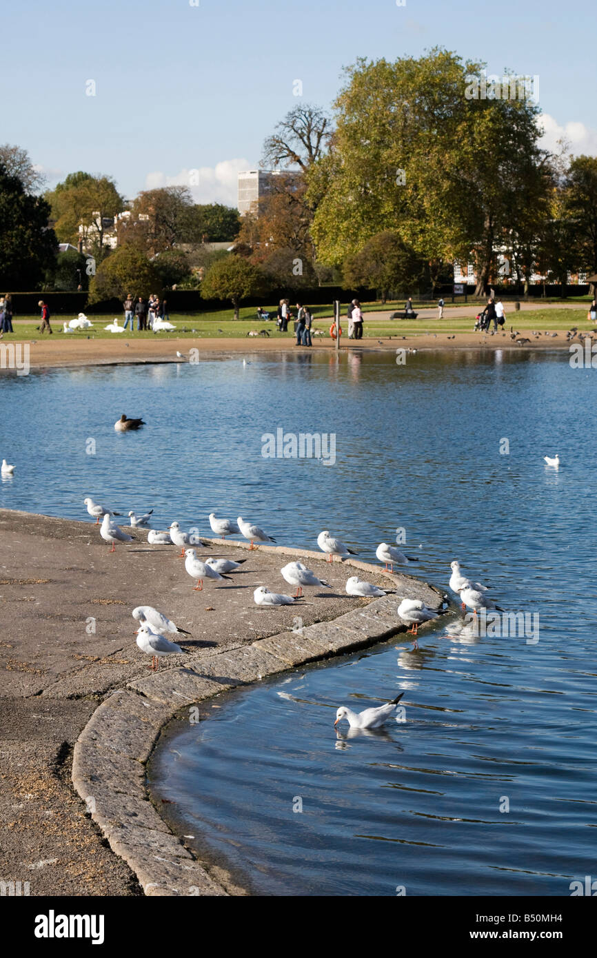 Round water feature hi-res stock photography and images - Alamy