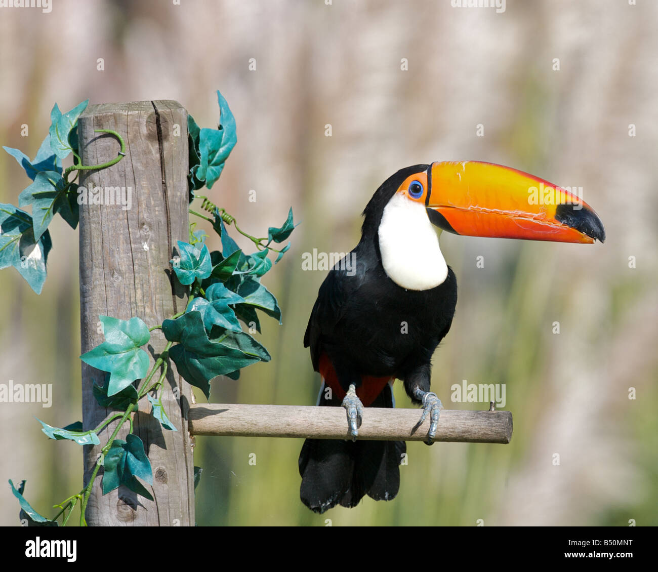 Zoo display hi-res stock photography and images - Alamy
