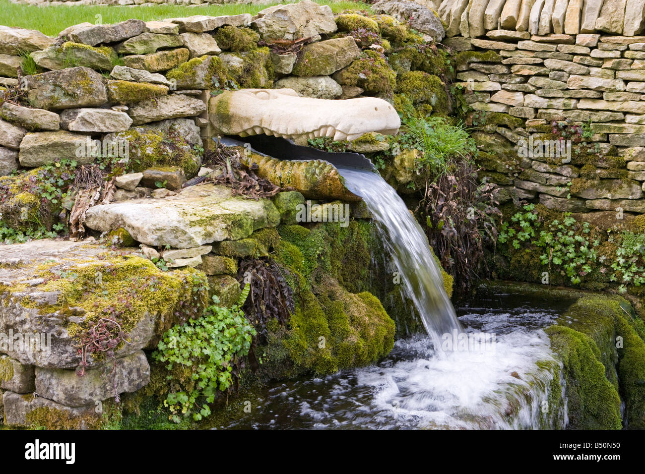 English crocodile hi-res stock photography and images - Alamy