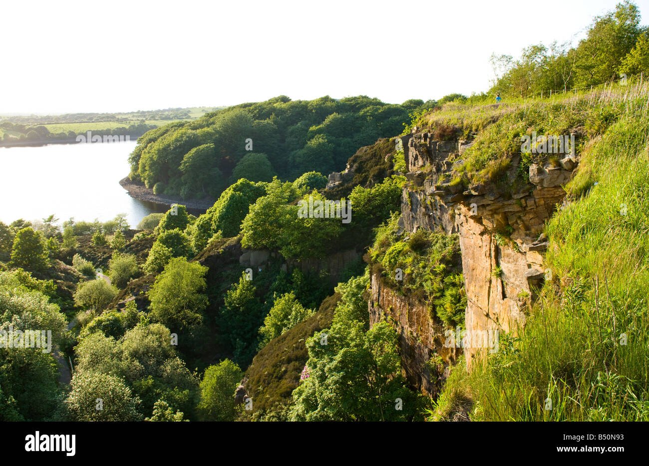 Anglezarke Quarry recolonised with native flora Stock Photo - Alamy