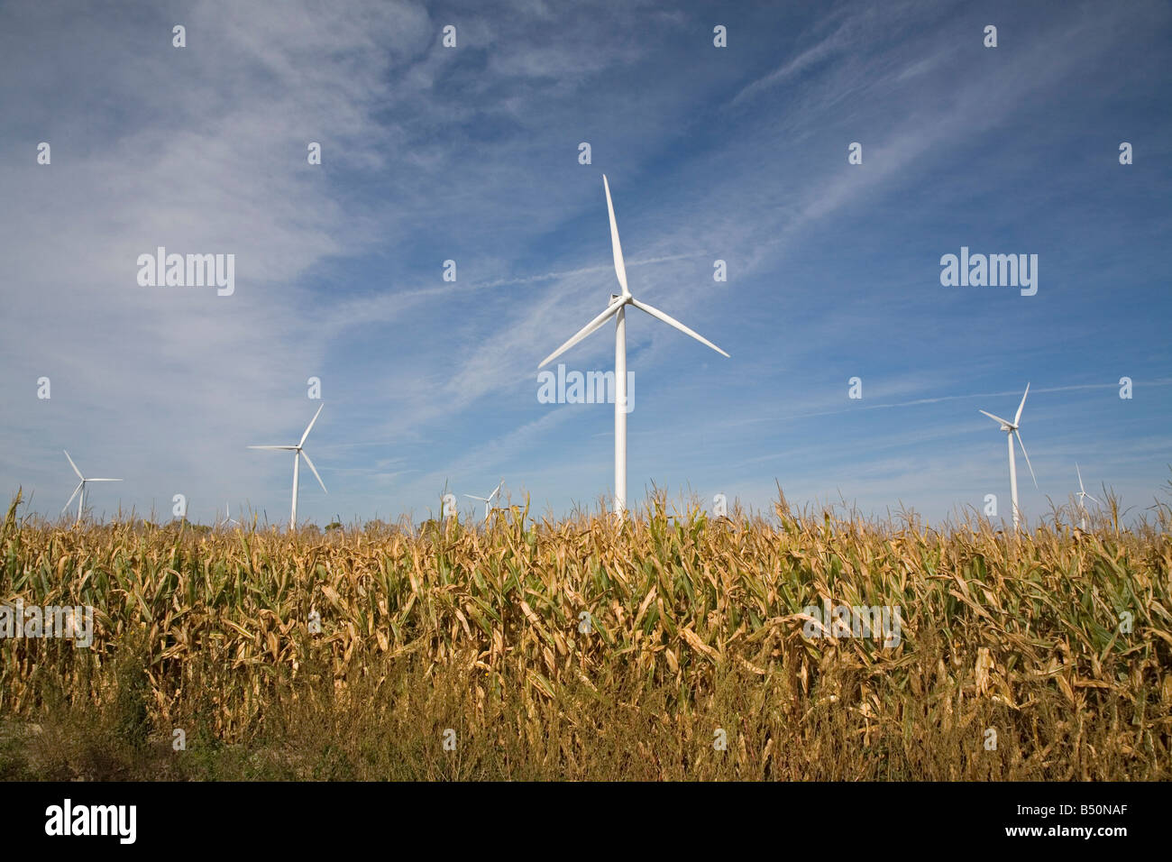 Wind Turbines on Farm Land Stock Photo - Alamy