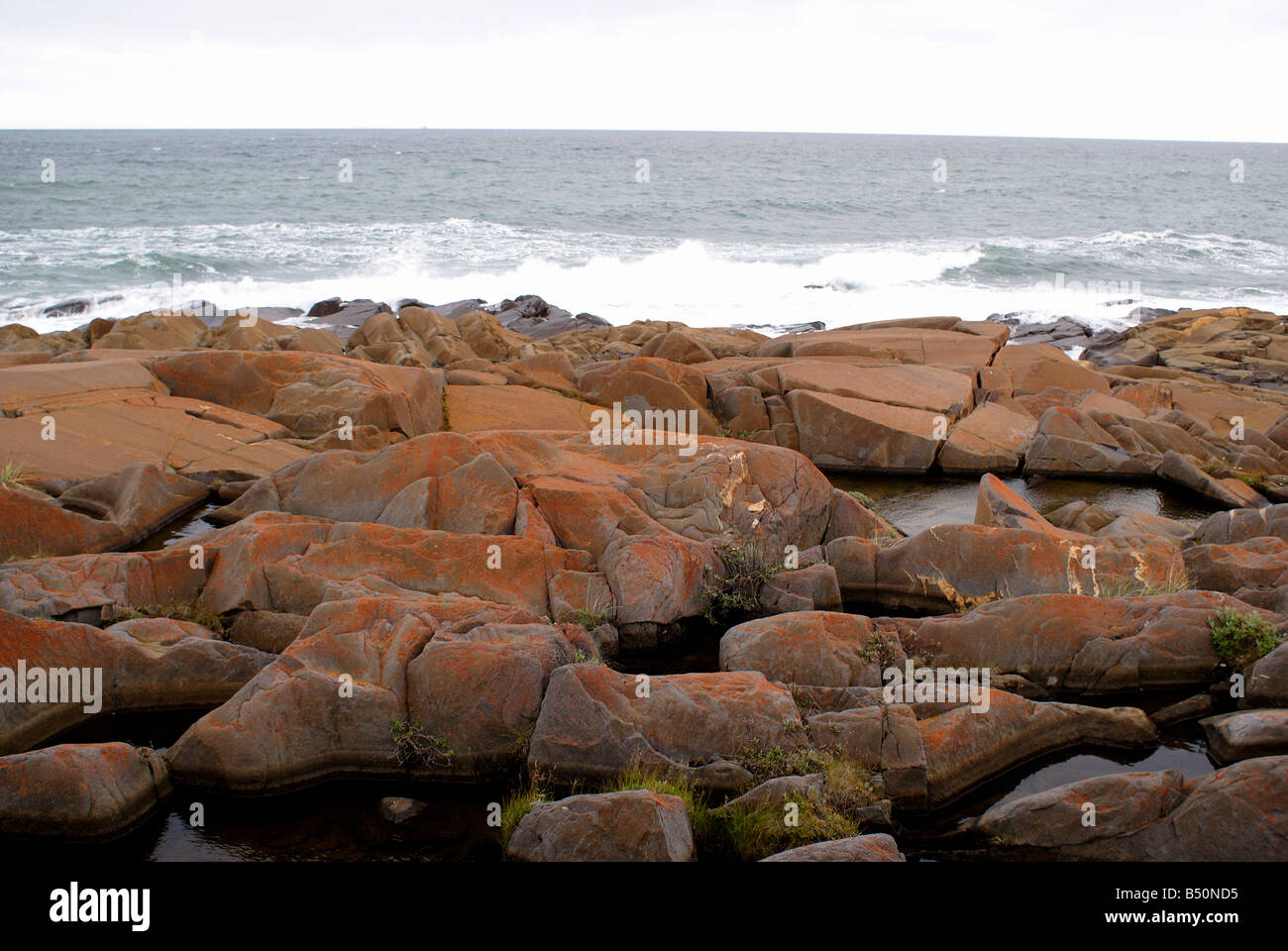 Churchill hudson bay manitoba hi-res stock photography and images - Alamy