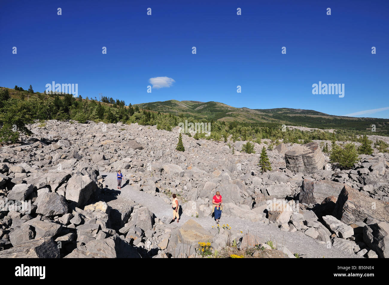 Rock slide, Crowsnest Pass, Frank Slide, Turtle Mountain, Alberta ...