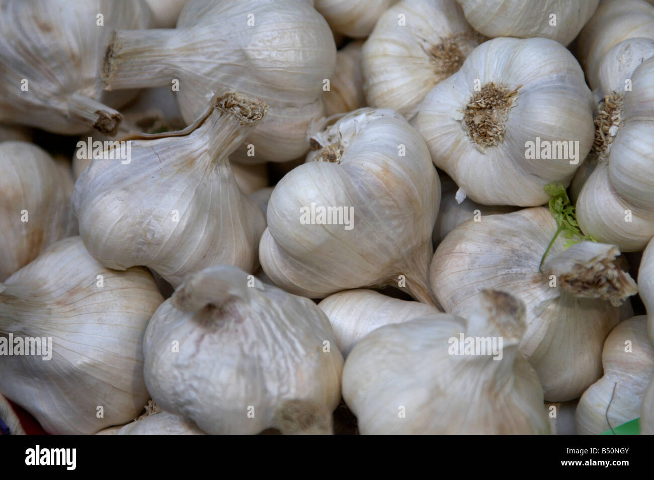 Garlic display hi-res stock photography and images - Alamy