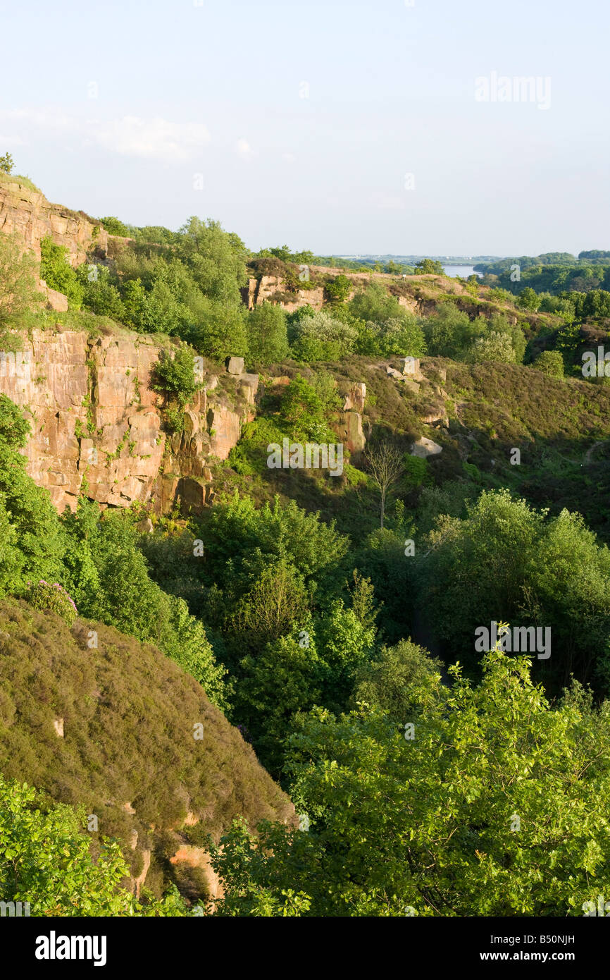 rockface and scrub at Anglezarke quarry Stock Photo - Alamy