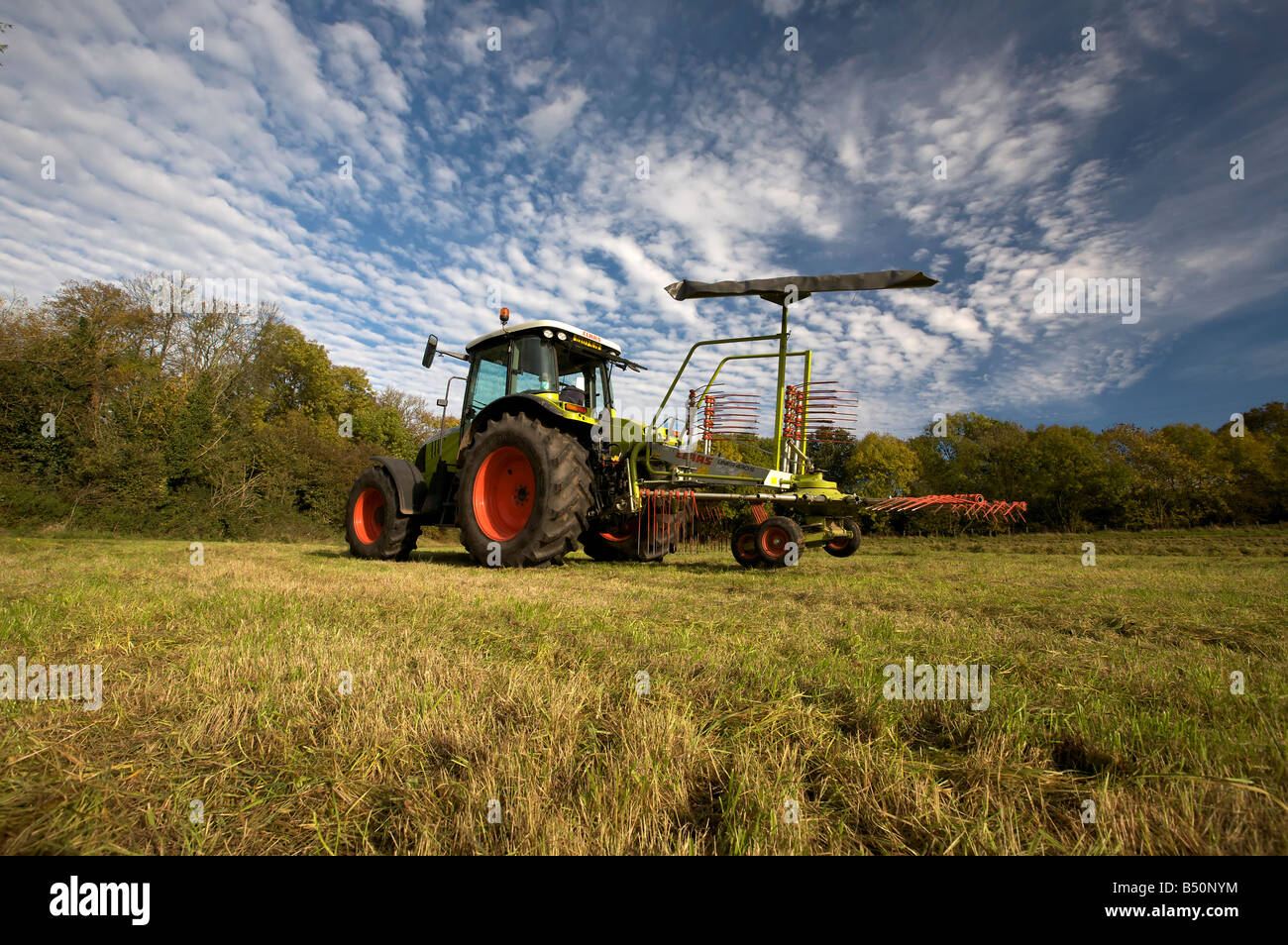 Claas Ares 697 ATZ rowing up a silage crop UK Stock Photo - Alamy