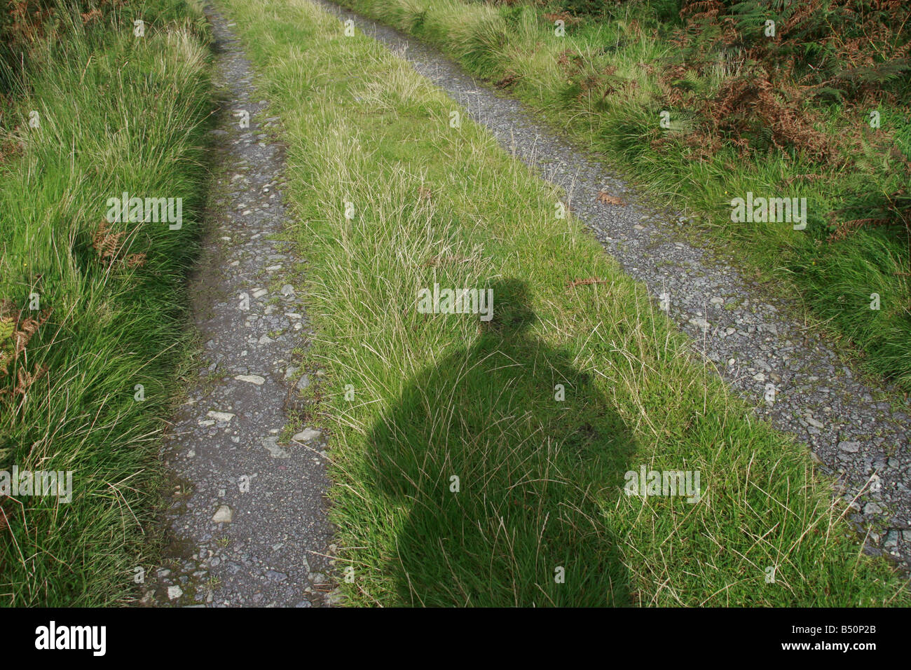 man's shadow on rural green country lane Stock Photo - Alamy