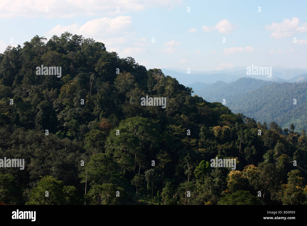 Nilgiri hills hi-res stock photography and images - Alamy