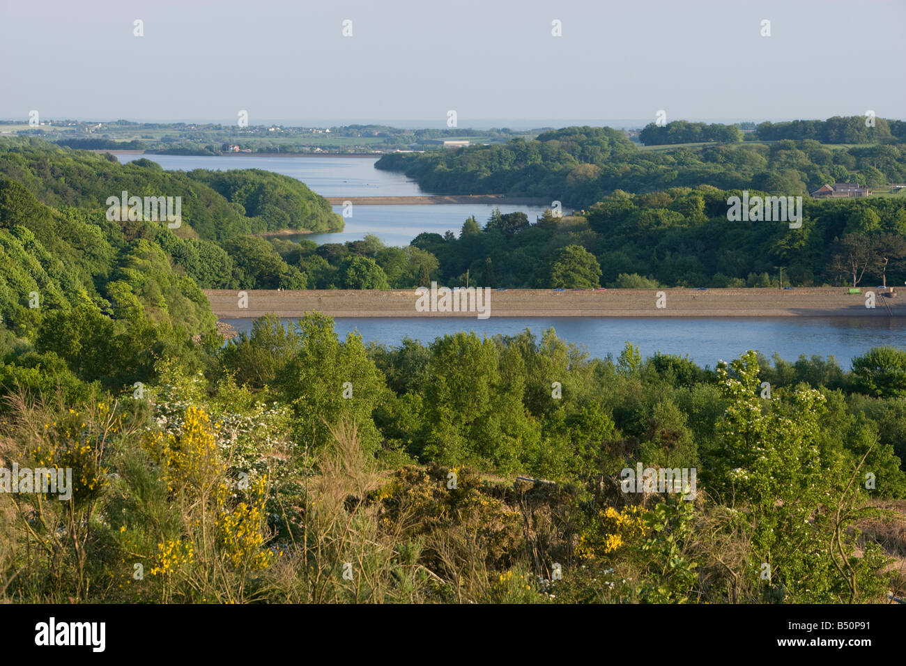 the three main Anglezarke and Rivington reservoirs Stock Photo - Alamy